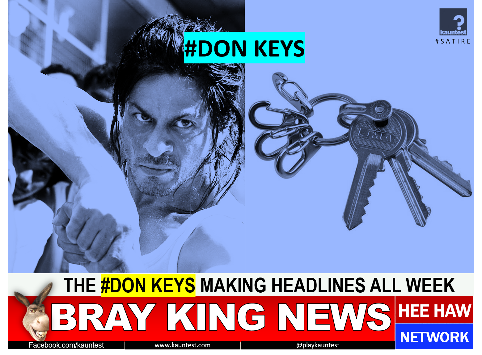 These DONKEYS Are Making Headlines – KAUNTEST