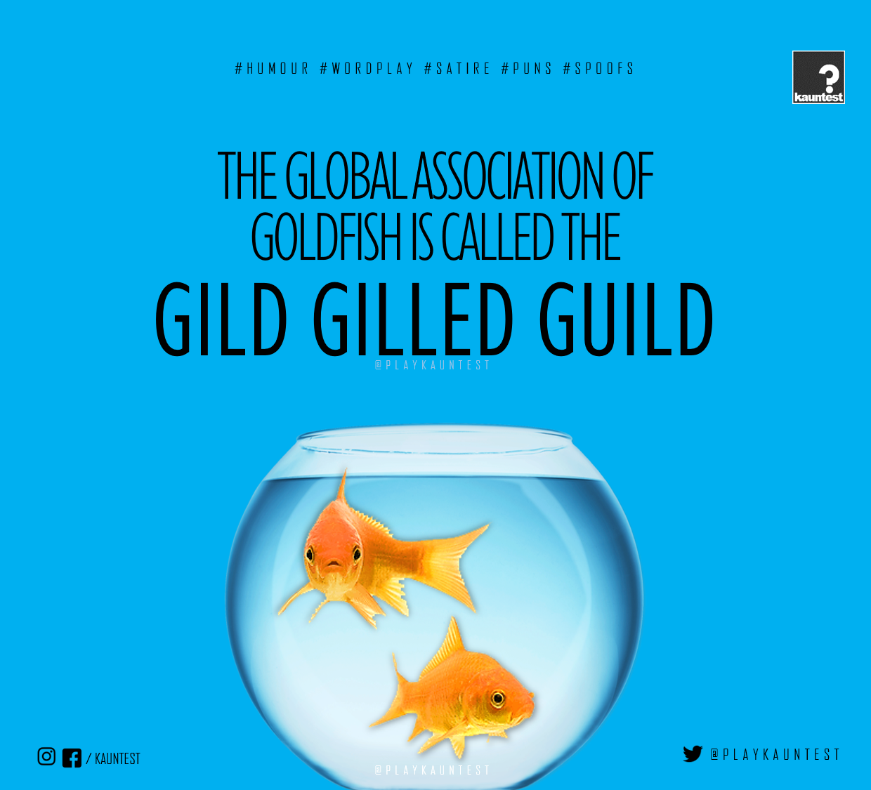 The Gild Gilled Guild – KAUNTEST